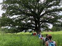 Retzer Nature Center - Wisconsin Master Naturalist