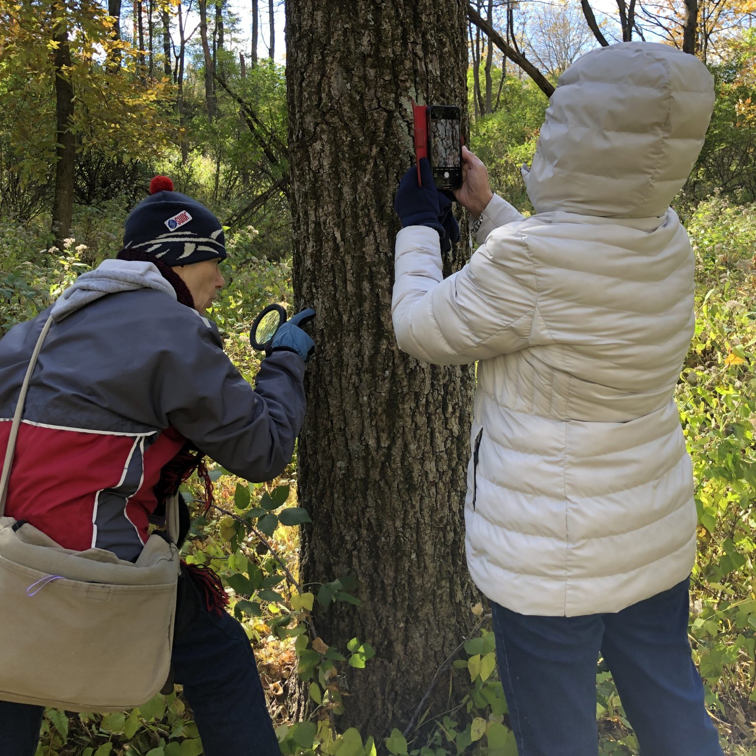 2024 Summit (Archived) - Wisconsin Master Naturalist
